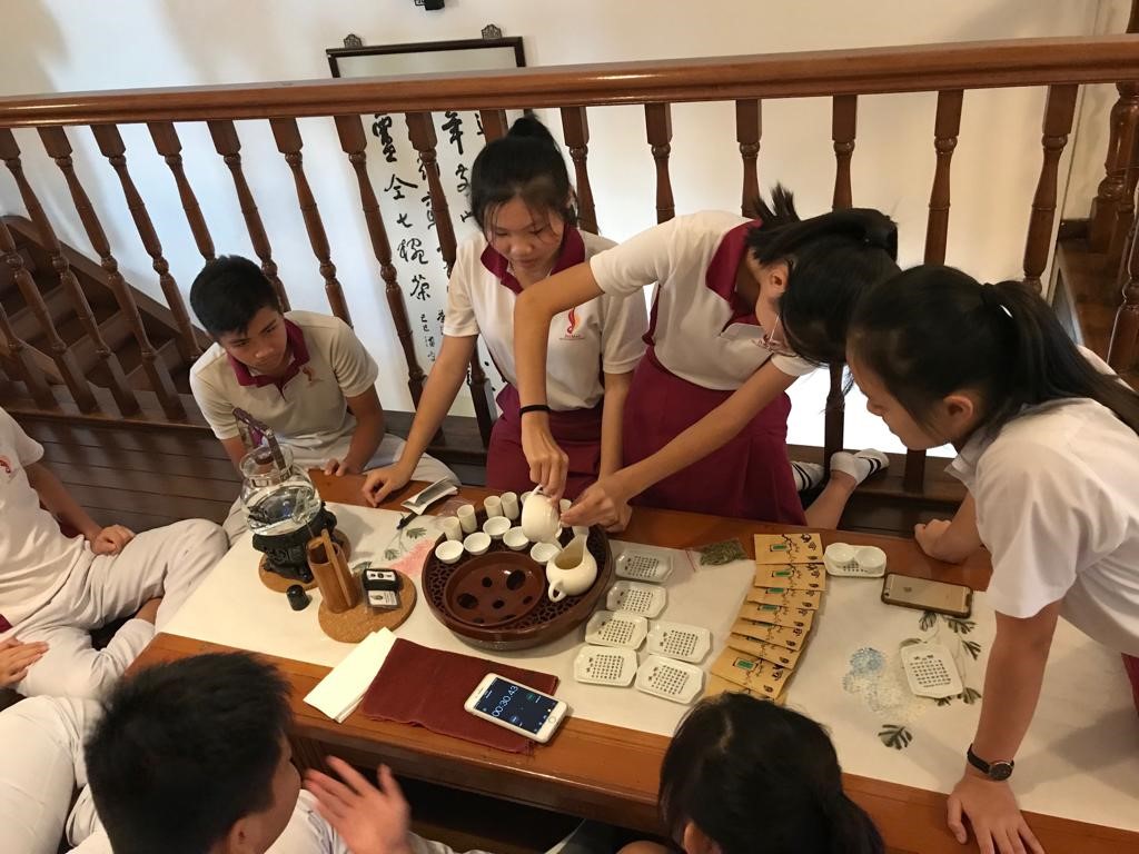 Mother Tongue Languages